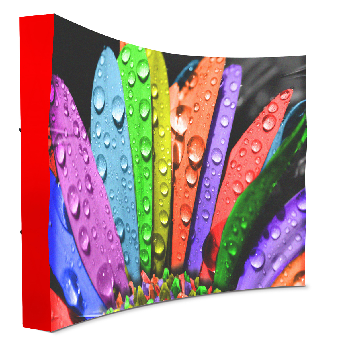 Cloth Banner Wall Curve with closed sides - Ideal Displays